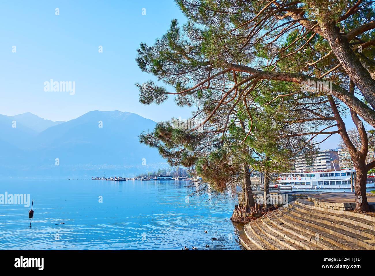 Enjoy the walk in park on Lake Maggiore, Muralto, Locarno, Ticino ...