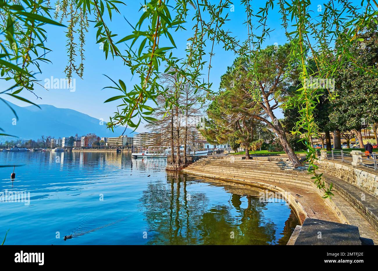 Walk down the scenic green park on the bank of Lake Maggiore, Muralto ...