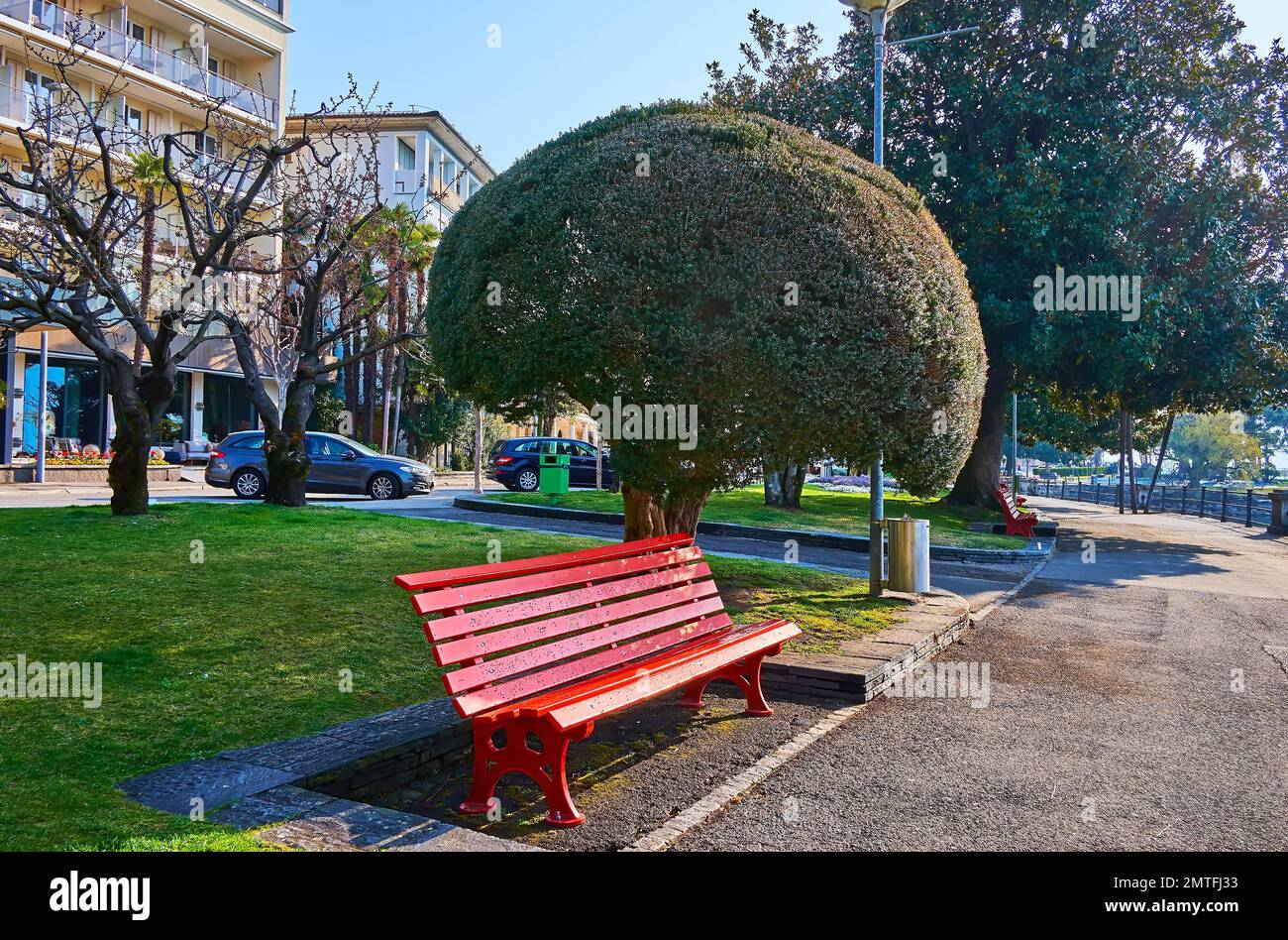 The red bench and a beautiful topiary bush along the walking alley of ...