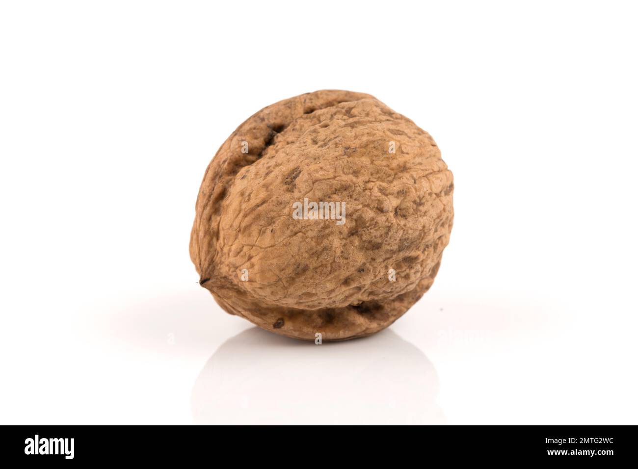 Walnut nut closeup isolated on a white background Stock Photo - Alamy