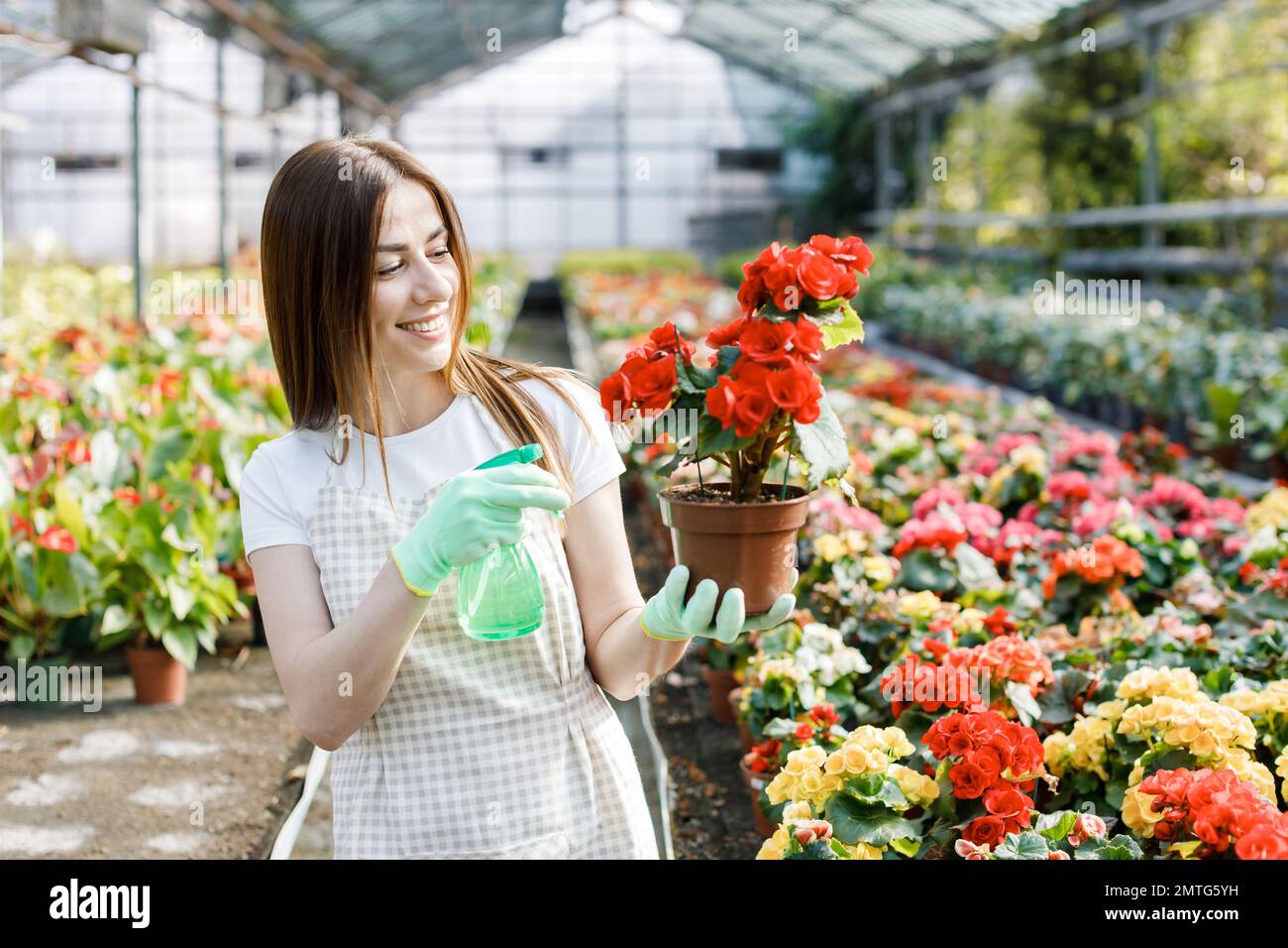Young woman florist spraying water on houseplants in flower pots by ...