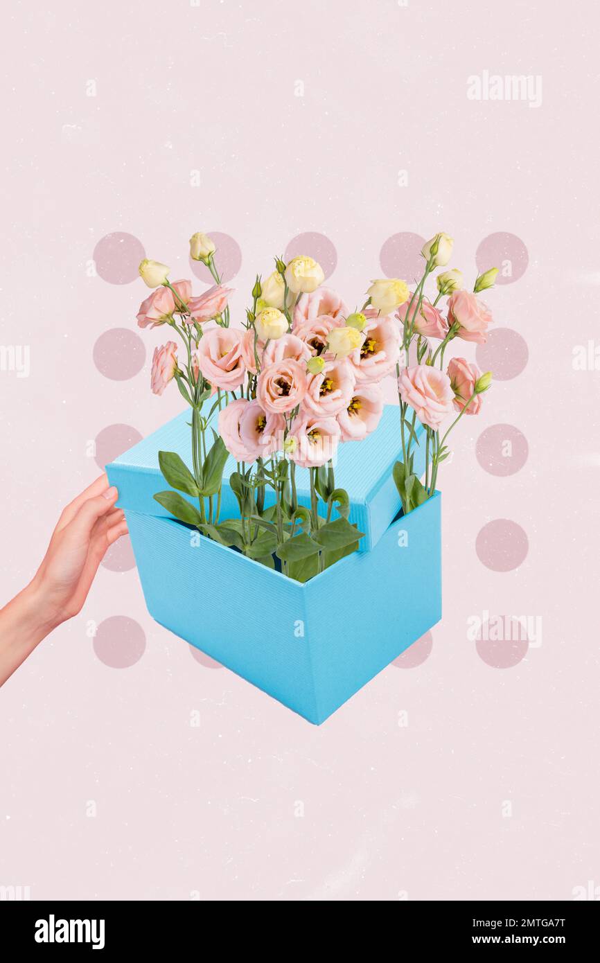 Collage photo poster of stack pink beautiful fresh bloom growing roses ...