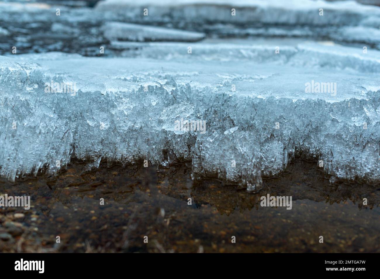 The remains of ice on the shore melt in the spring in the sun near the ...