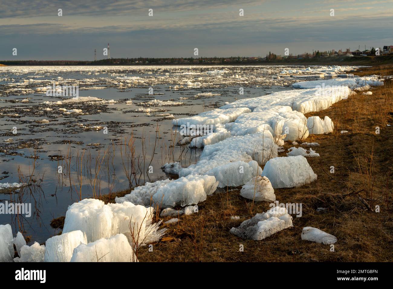 The last ice floes float and melt lying on the shore in the spring on ...
