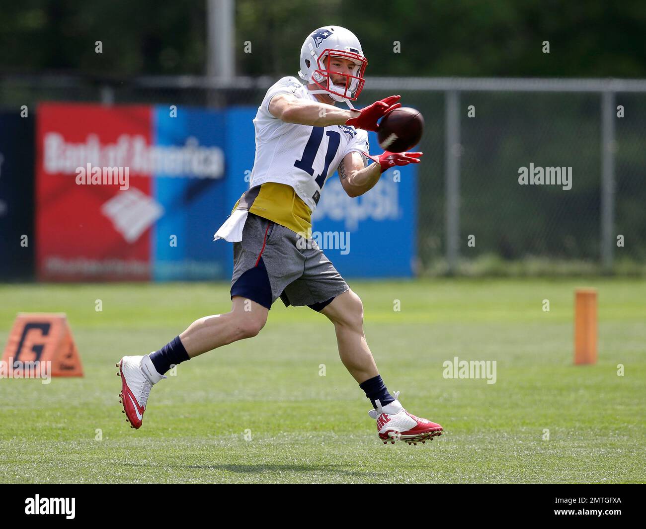 Julian Edelman Amazing Catch