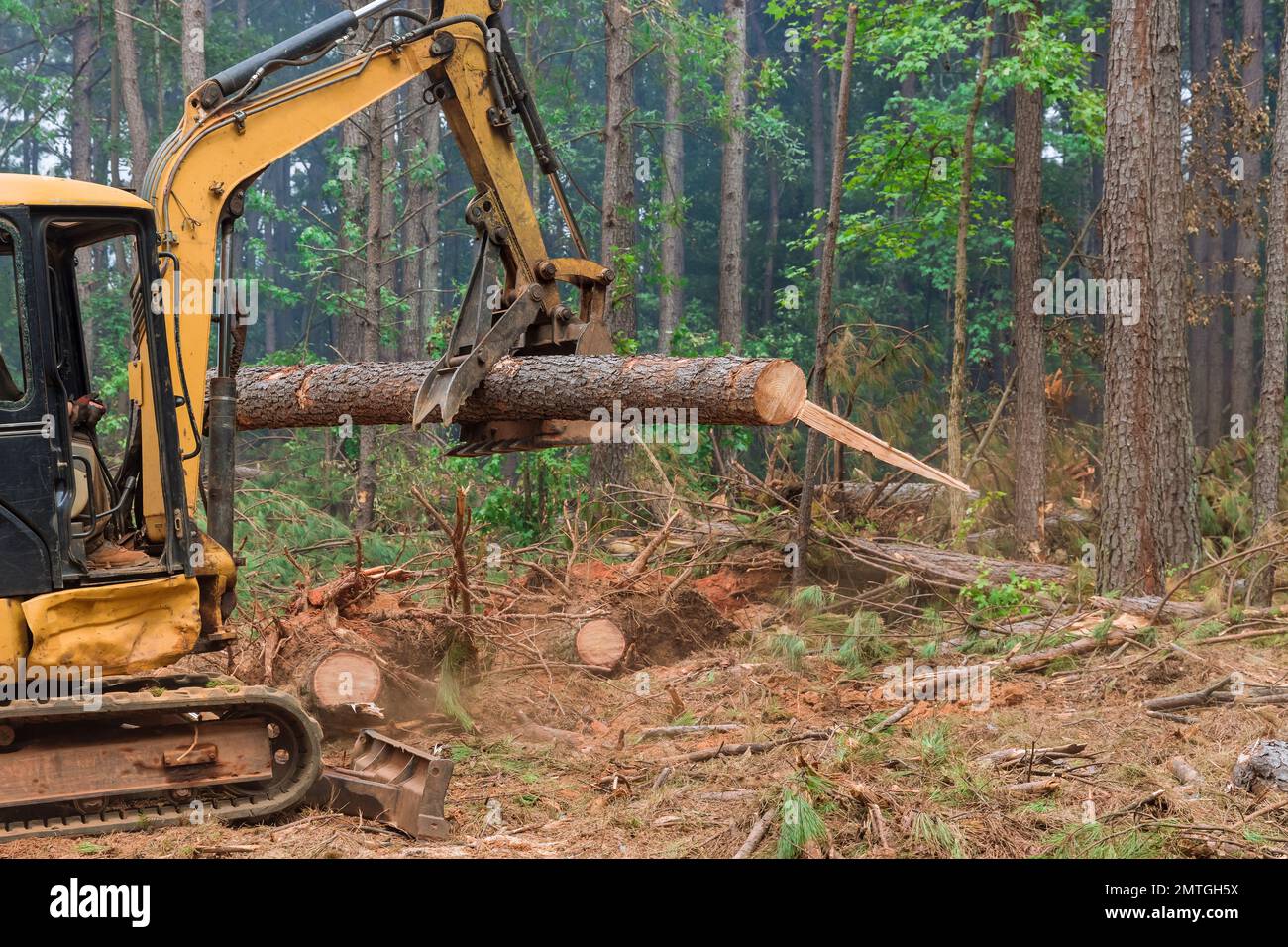 Deforestation process uses tractor manipulator to lift logs with help ...