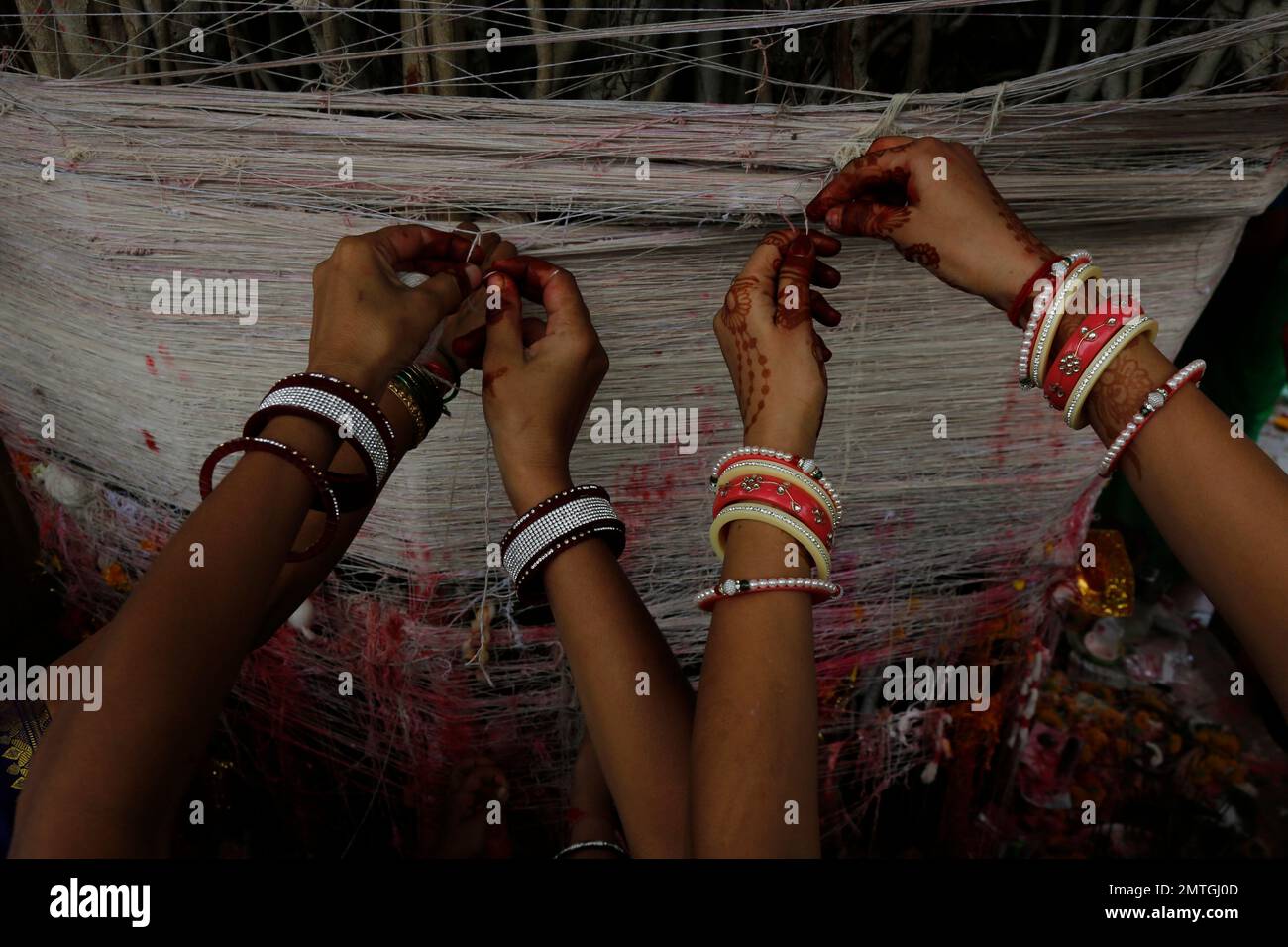 Indian Hindu married women tie cotton threads around a Banyan tree as ...