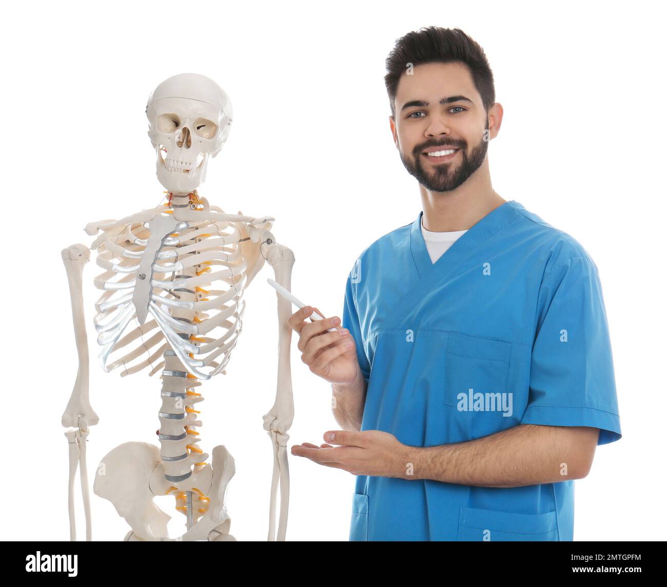 Male orthopedist with human skeleton model on white background Stock ...