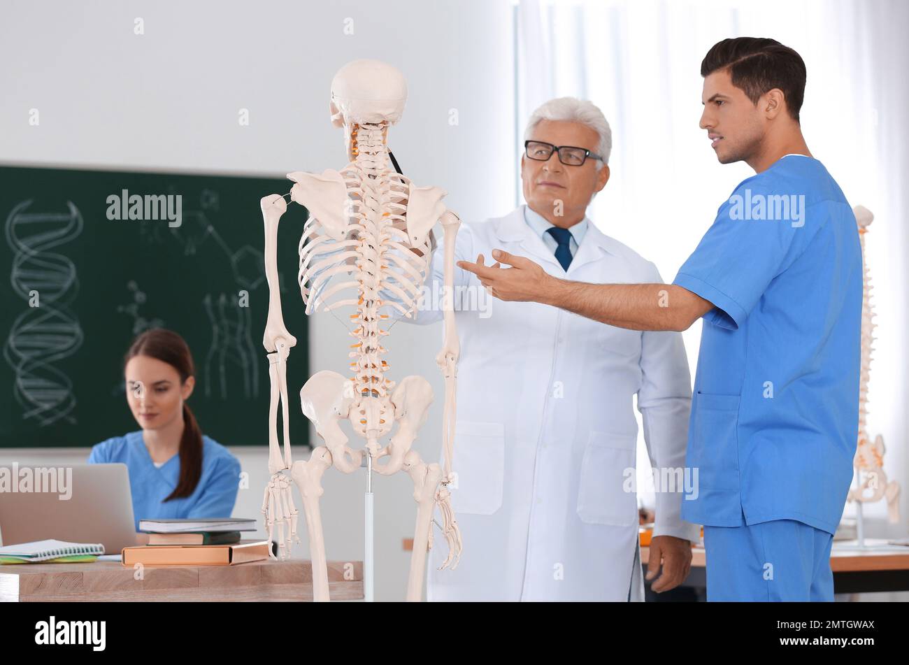 Medical students and professor studying human skeleton anatomy in ...