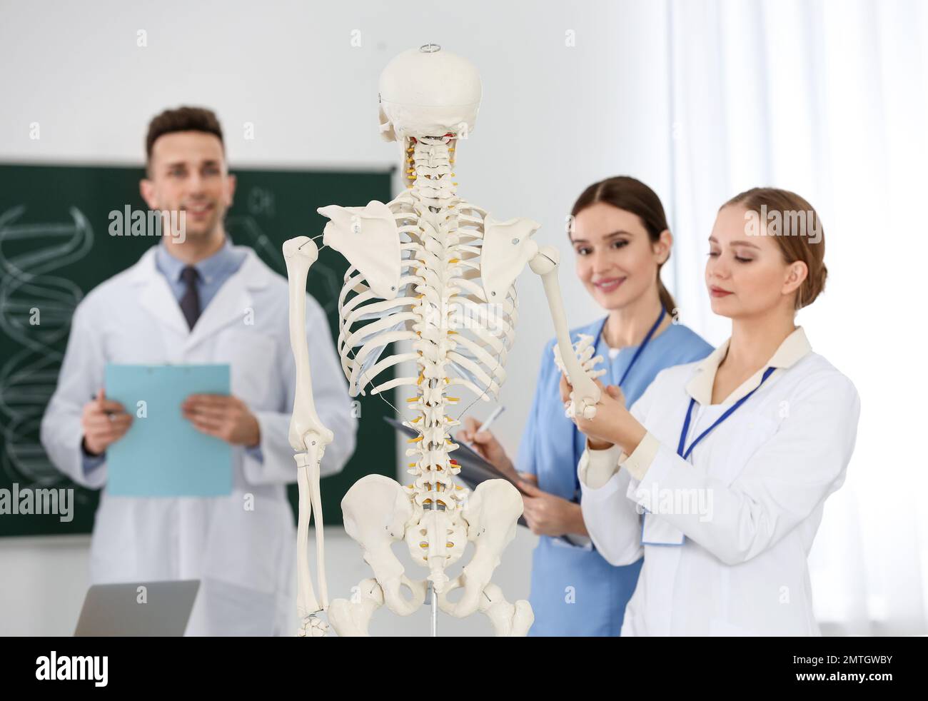 Medical students studying human skeleton anatomy in classroom Stock ...