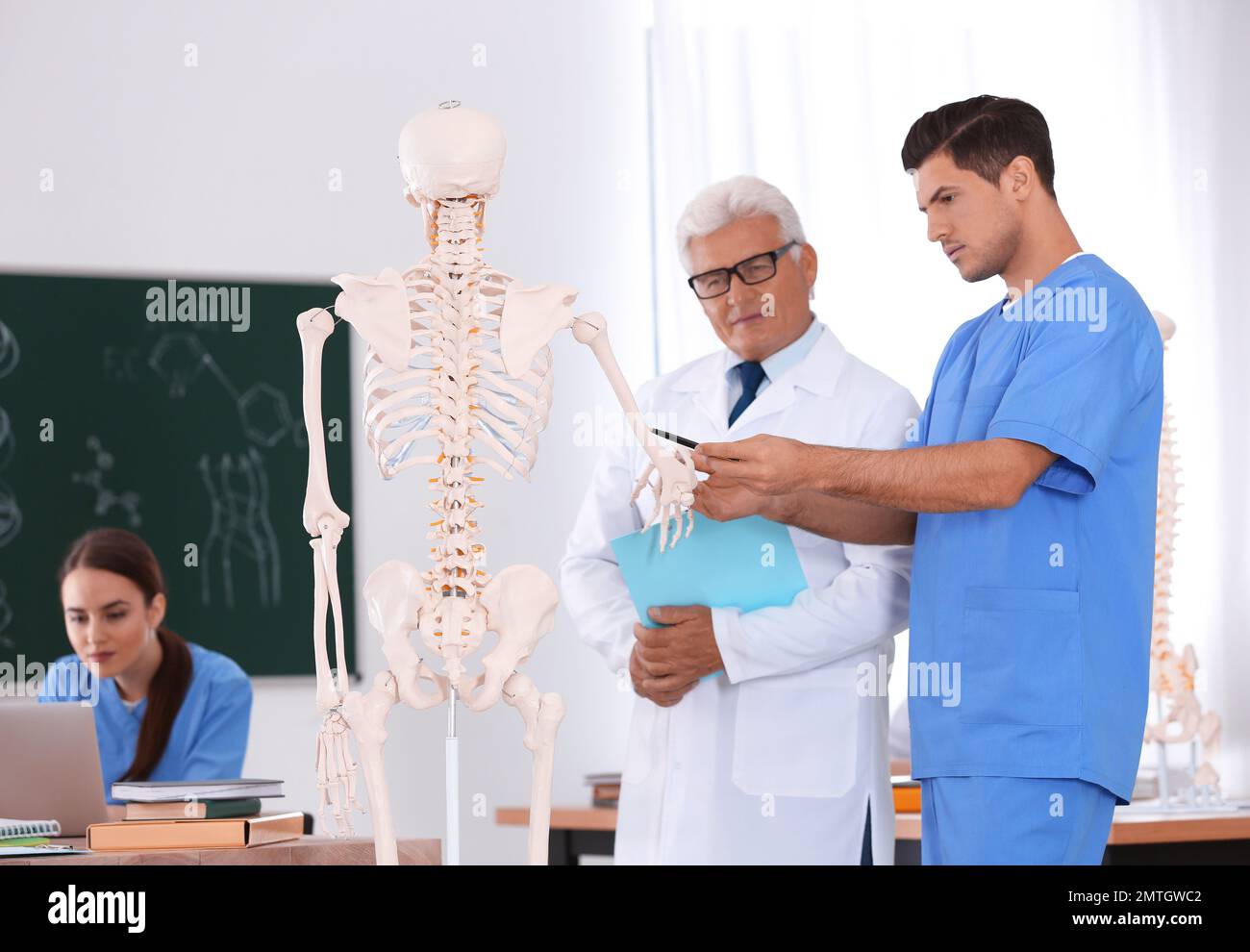 Medical students and professor studying human skeleton anatomy in ...