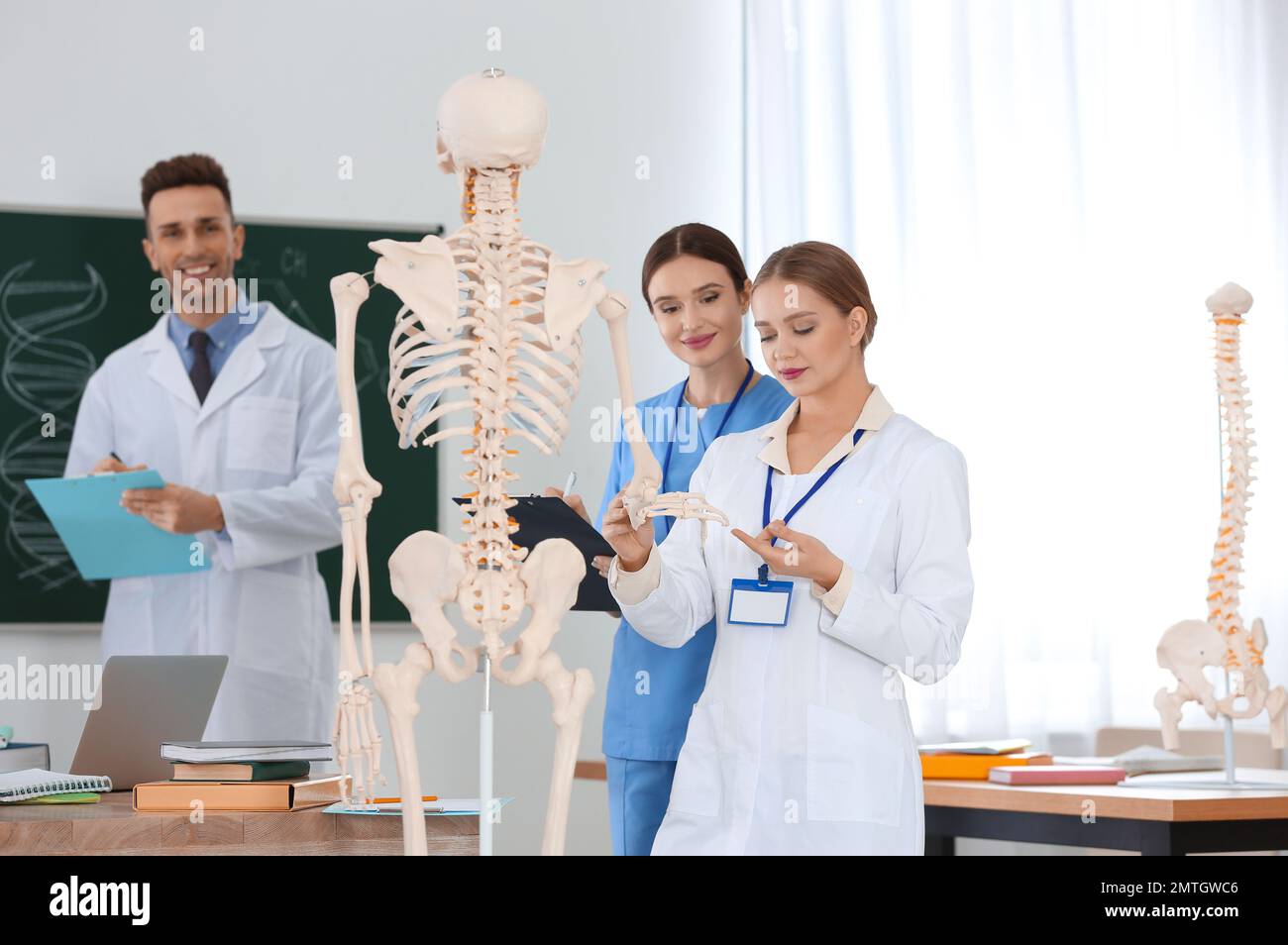 Medical students studying human skeleton anatomy in classroom Stock ...