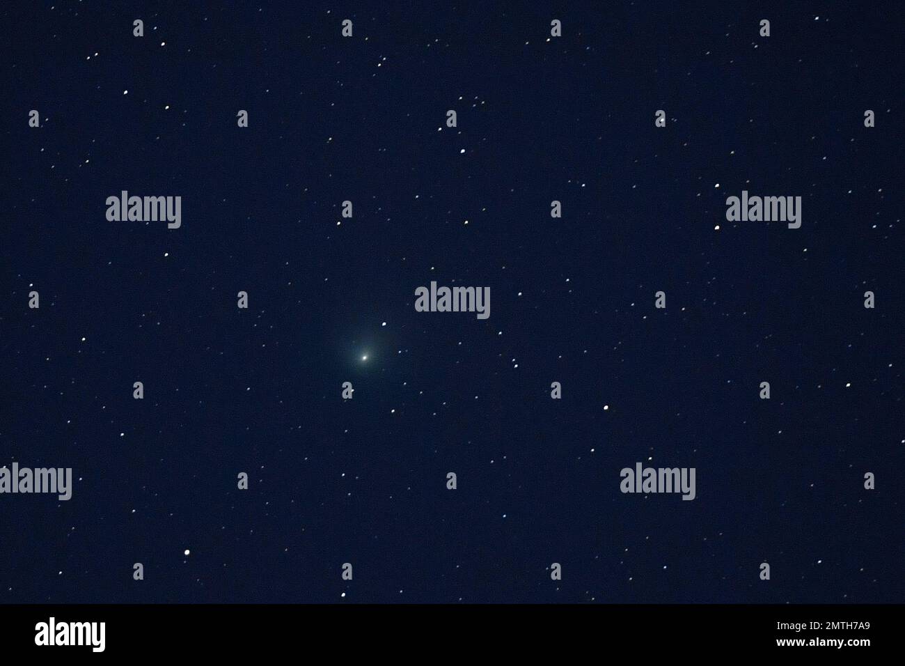 Baker, California, USA. 31st Jan, 2023. A view of comet C/2022 E3 (ZTF ...