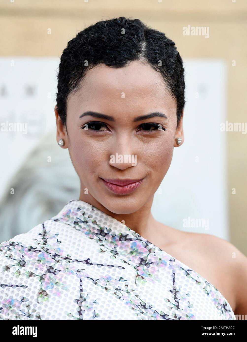 Actress Andy Allo poses at the premiere of the film "The Hero" at the ...