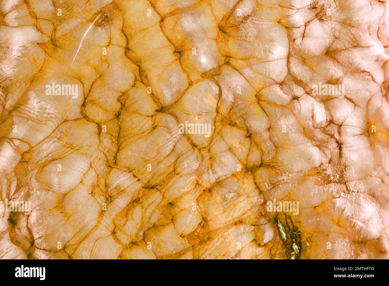 Unusual textures. Abstract light surface with cracks or wrinkles of ...