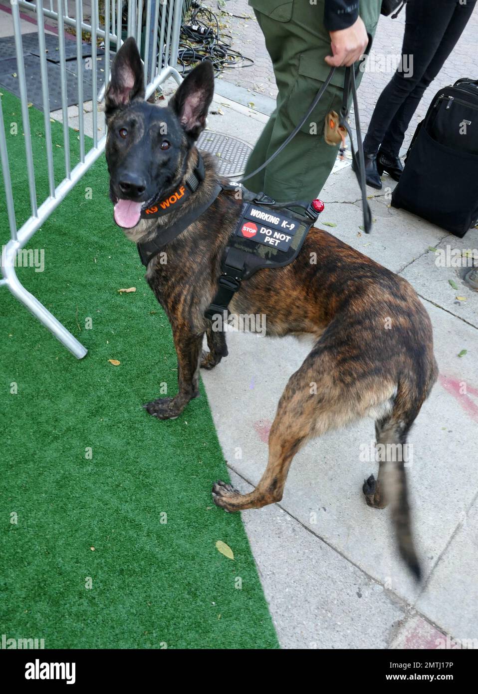 Los Angeles, California, USA 31st January 2023 A general view of atmosphere of K9 Dog at the Los ...