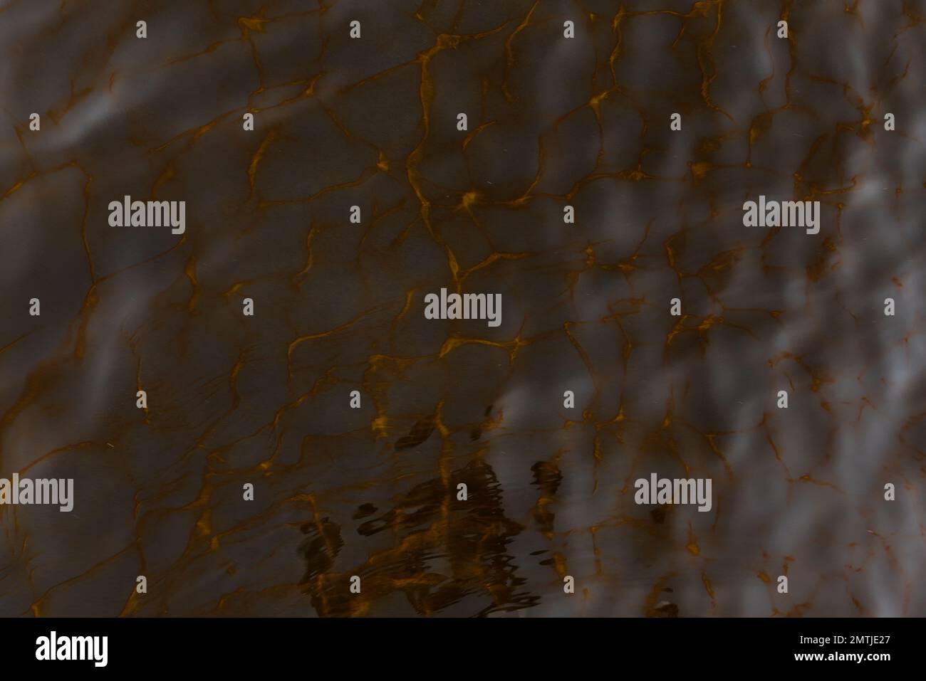 Abstract photo of the texture of the reflection of light from the ...