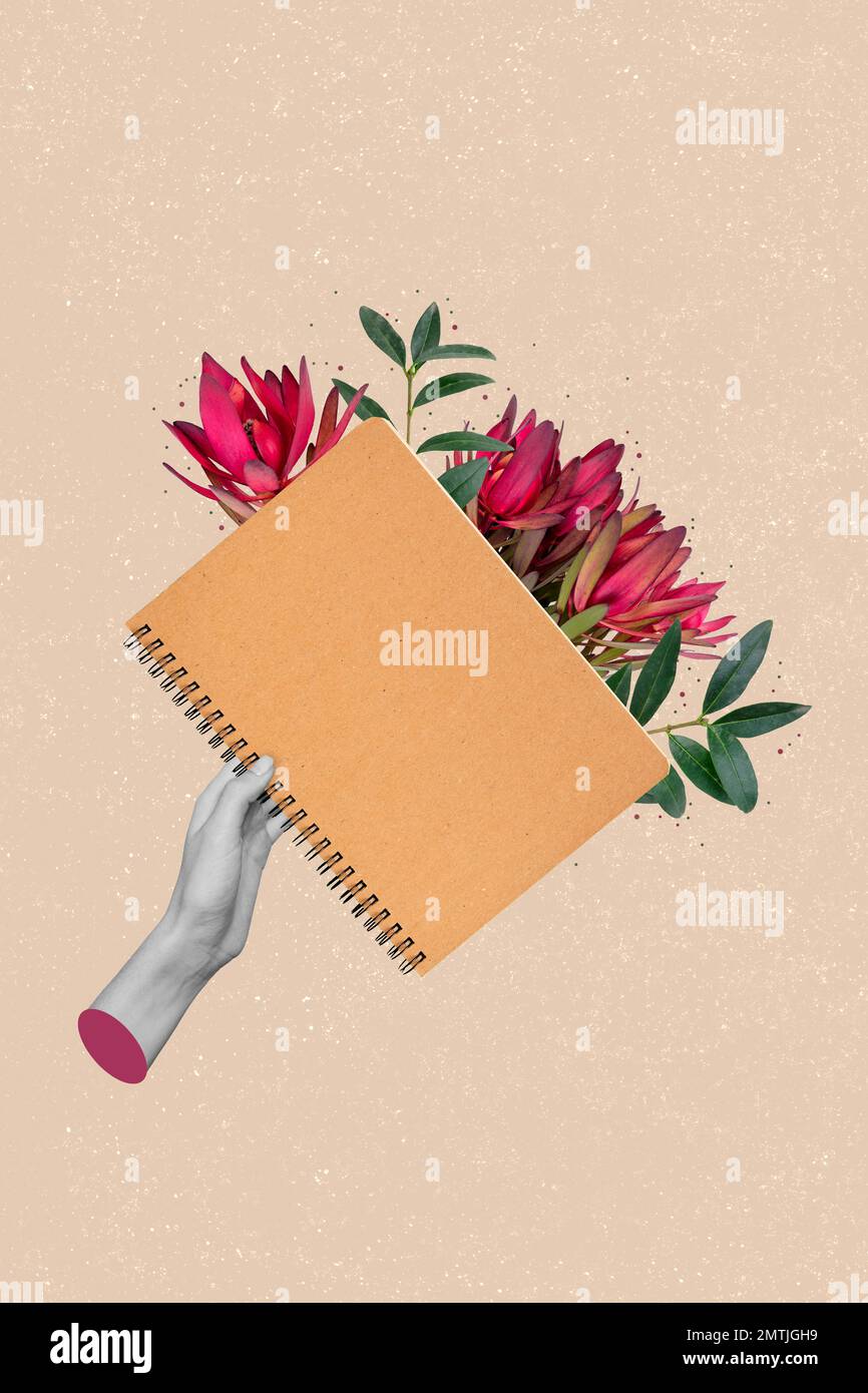 Composite collage picture image of woman hand holding notepad notebook ...