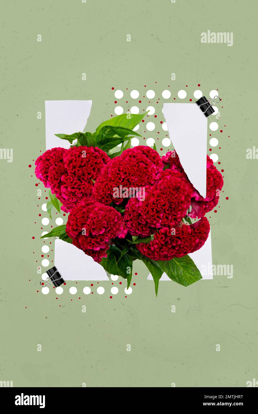 Vertical collage image of torn paper list bouquet fresh flowers ...