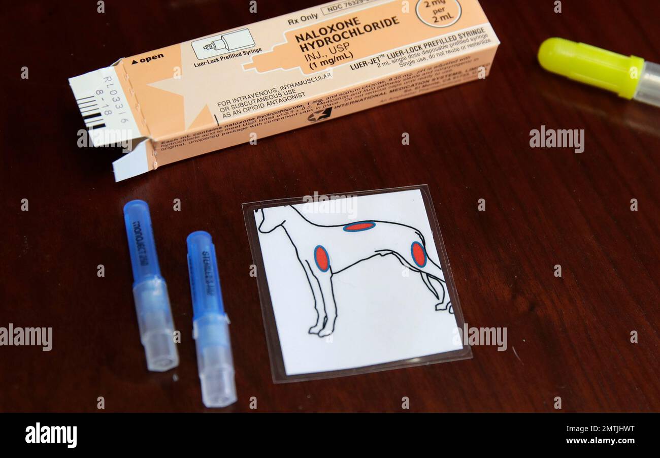 In this May 30, 2017, photo, a sketch shows the injection points on a ...