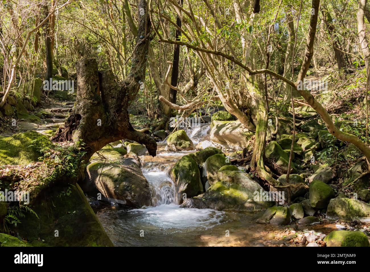 Fish road historical trail hi-res stock photography and images - Alamy