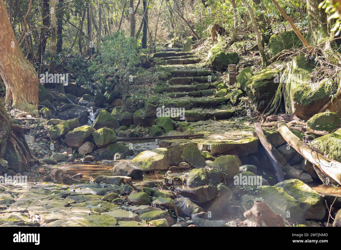 Sunny view of the beautiful river landscape of Fish Road Historical ...
