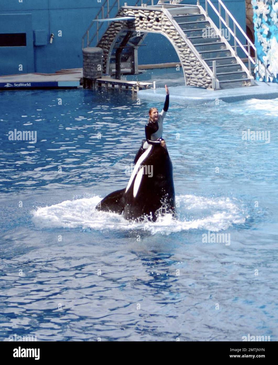 General views of the Sea World Park where trainer Dawn Brancheau, 40 ...