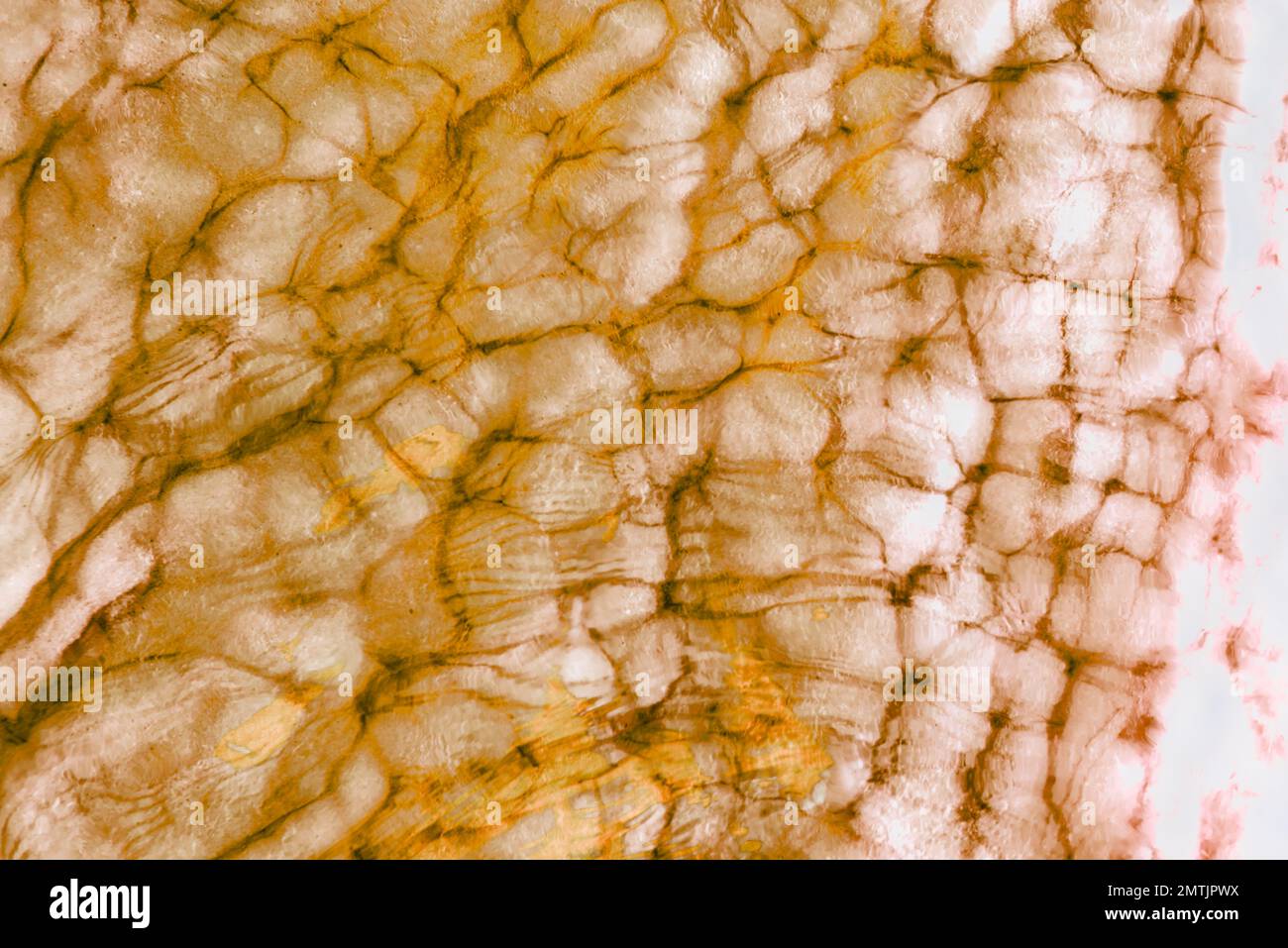 Non existent hi-res stock photography and images - Alamy