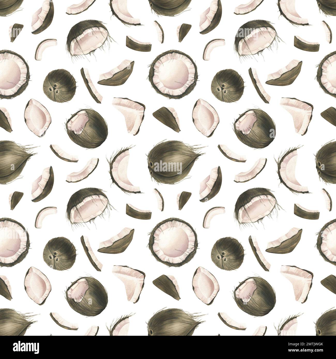 Coconuts are whole and broken, cut into pieces on a white background ...