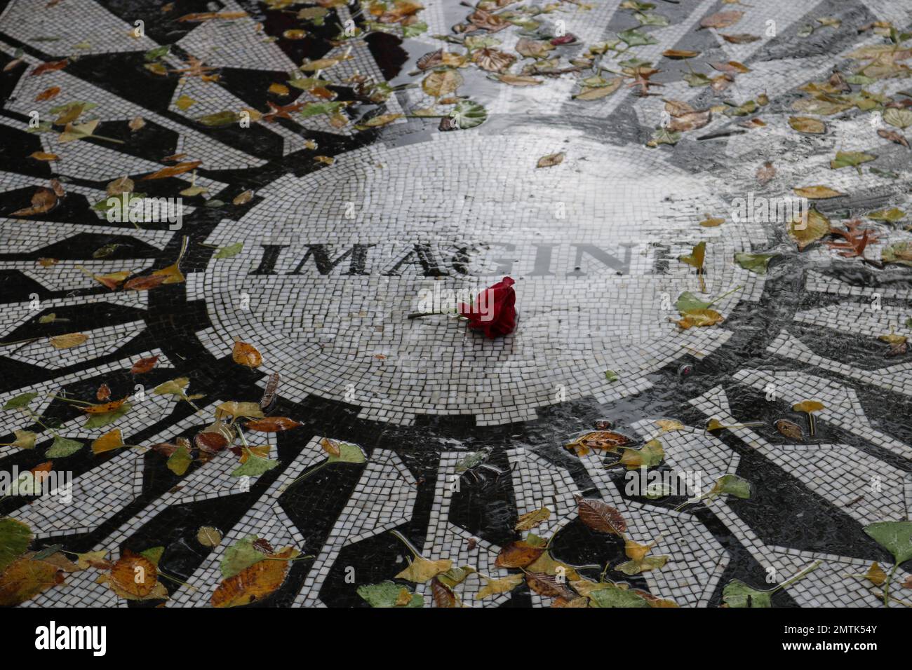 Imaginemosaic hi-res stock photography and images - Alamy