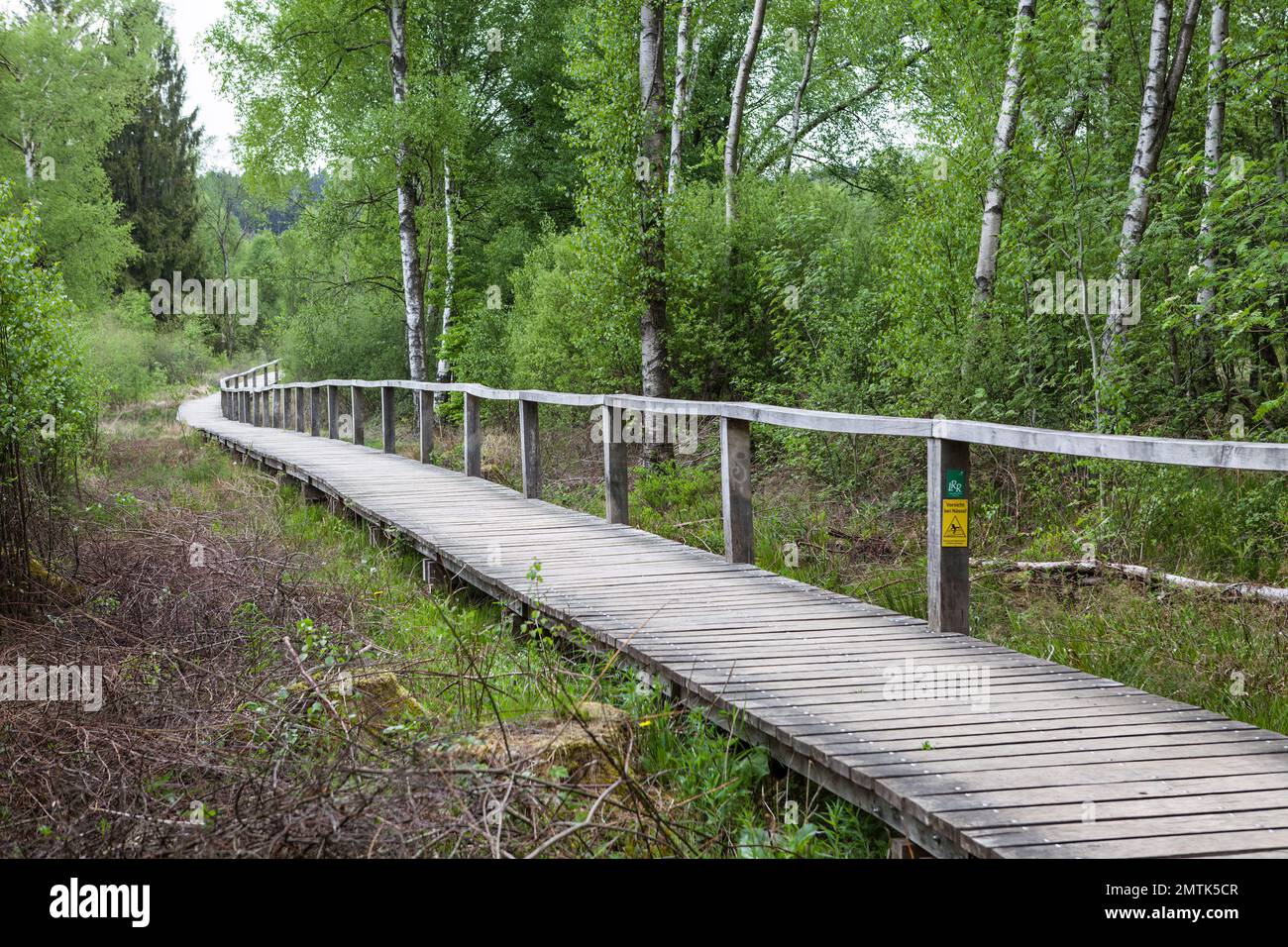 Ombrotrophic bogs hi-res stock photography and images - Alamy