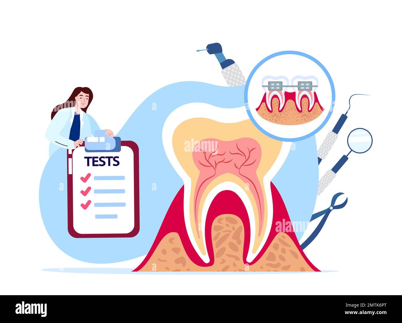Woman Dentist with Tests of Dental Health Tooth Vector Illustration ...