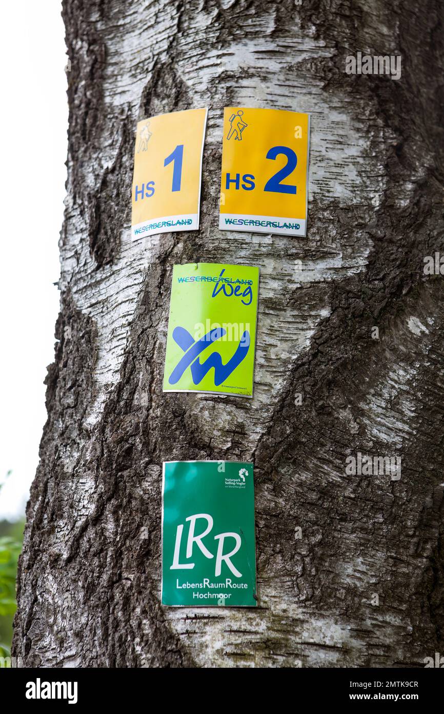 Information board on hiking trails, raised bog Mecklenbruch, Silberborn ...