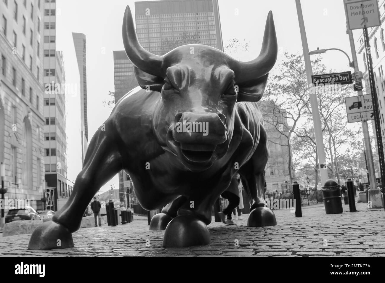 Wall Street Bull Stock Photo - Alamy