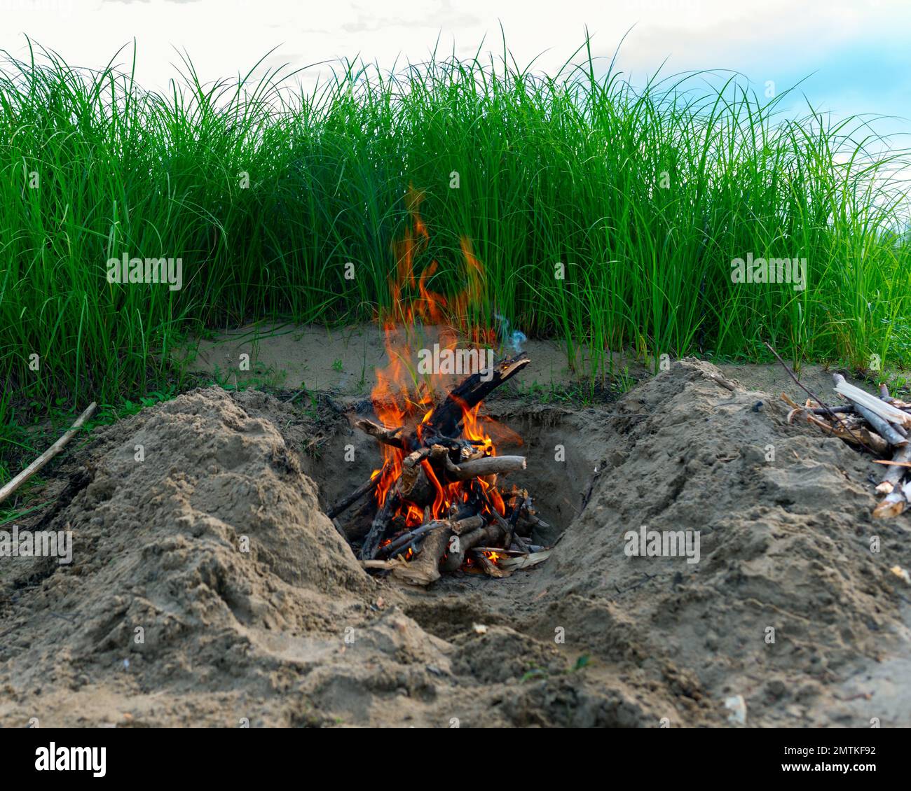 A birch firewood fire burns during the day in the sand next to tall ...