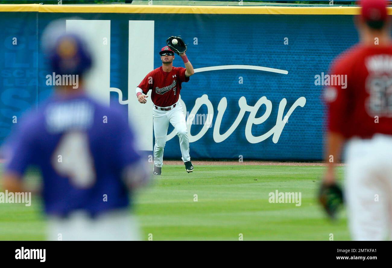 South Carolina outfielder Jacob Olson (7) catches a fly ball for an out ...