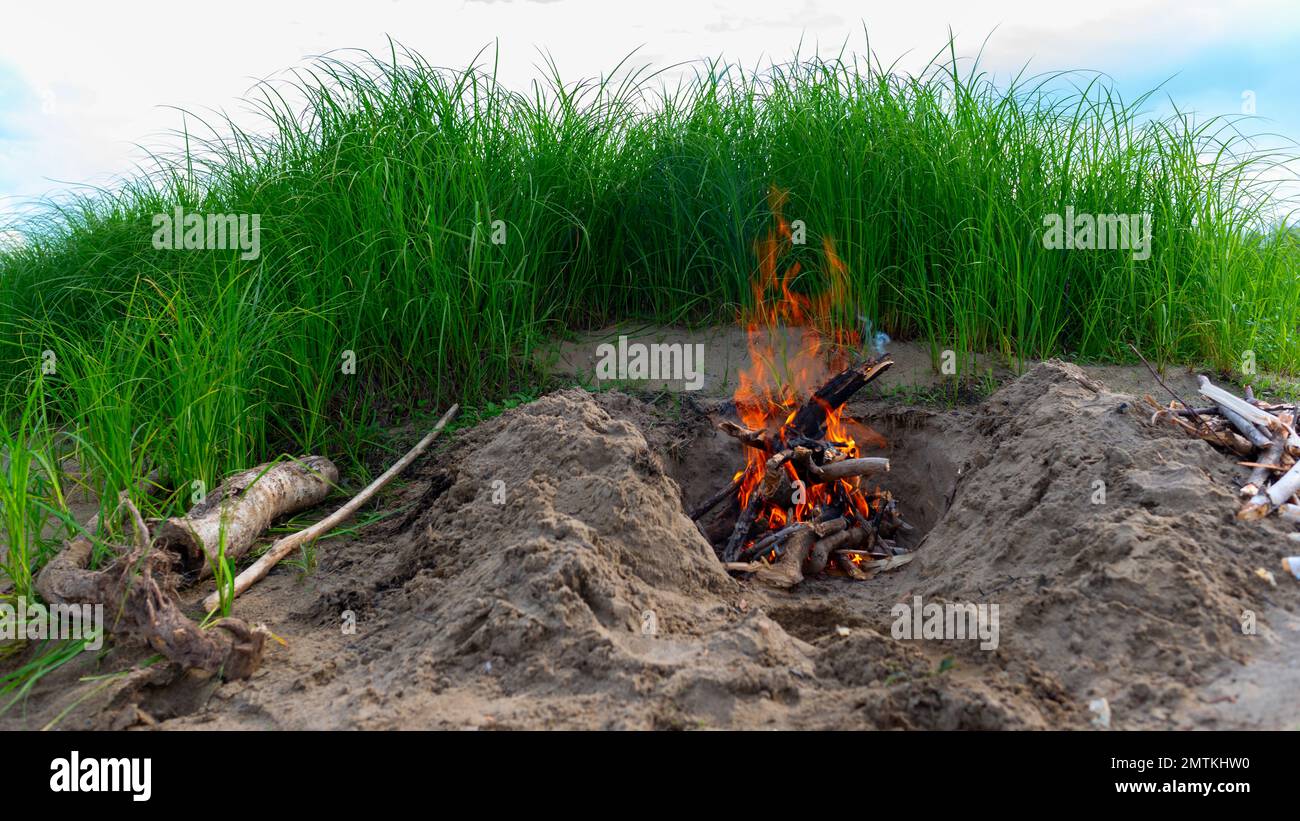 A birch firewood fire burns during the day in the sand next to the tall ...