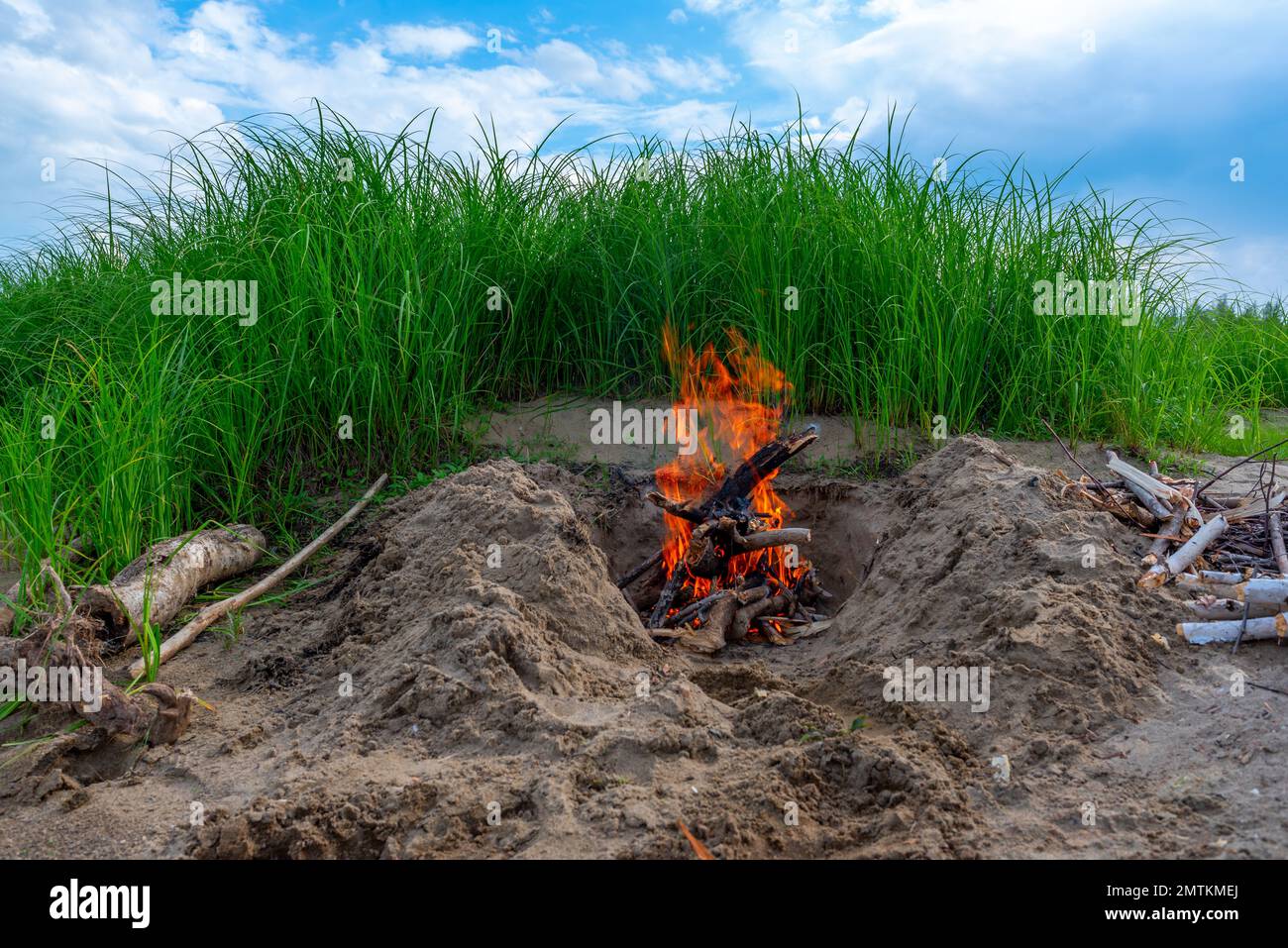 Bonfire on the beach made of birch firewood burns during the day in the ...