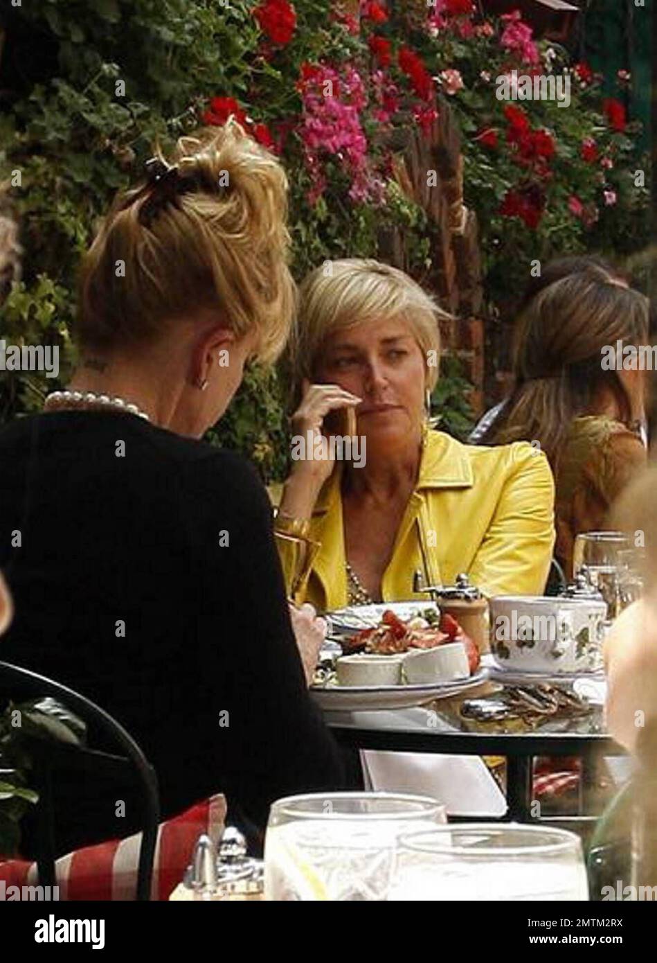 Sharon Stone certainly seems to be enjoying her food as she wolfs down ...