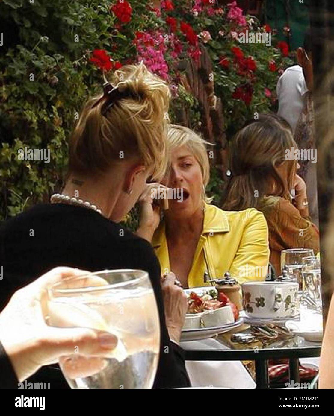 Sharon stone and melanie griffith hi-res stock photography and images ...