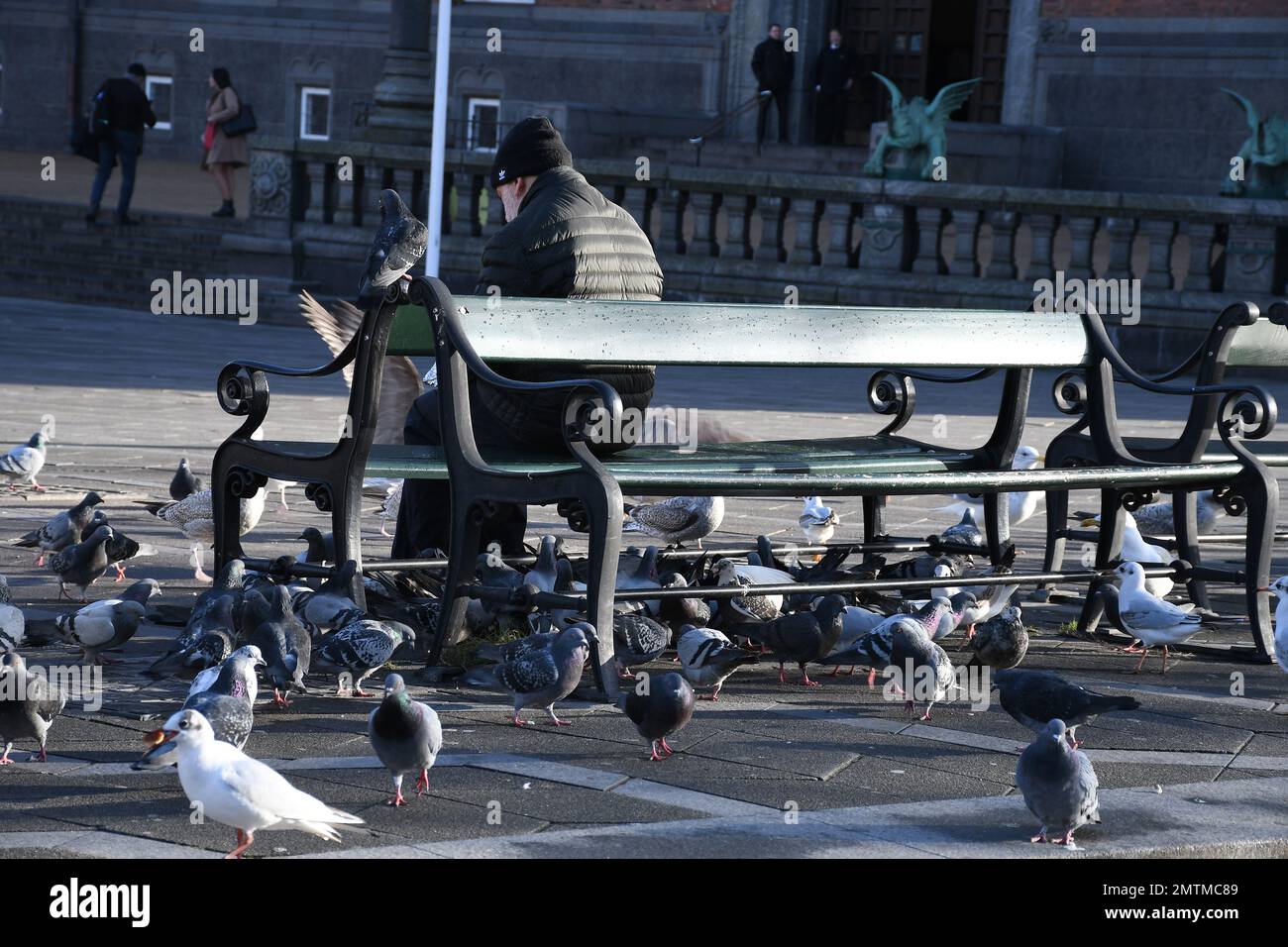 Human nd birds hi-res stock photography and images - Alamy