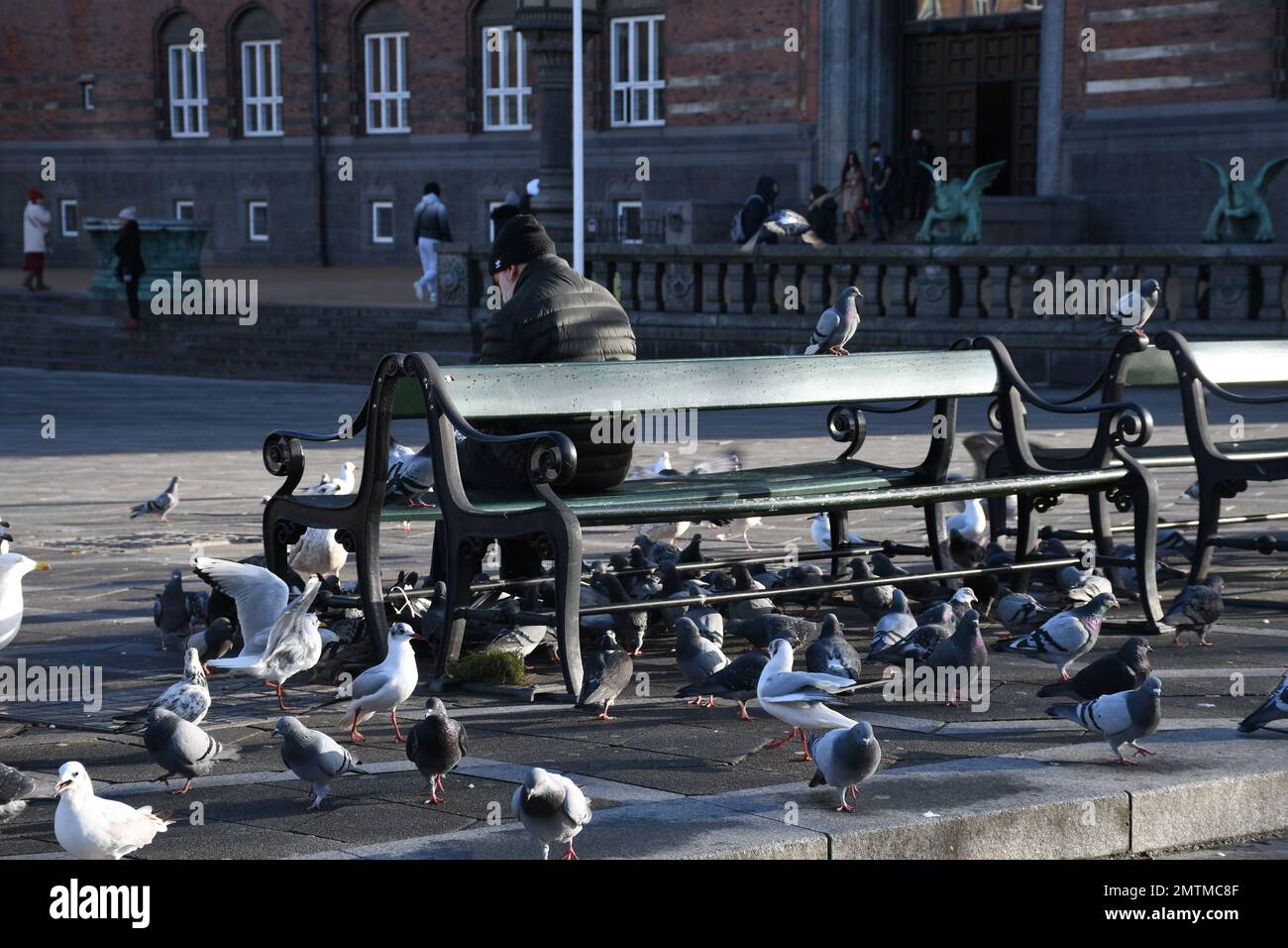 Human nd birds hi-res stock photography and images - Alamy