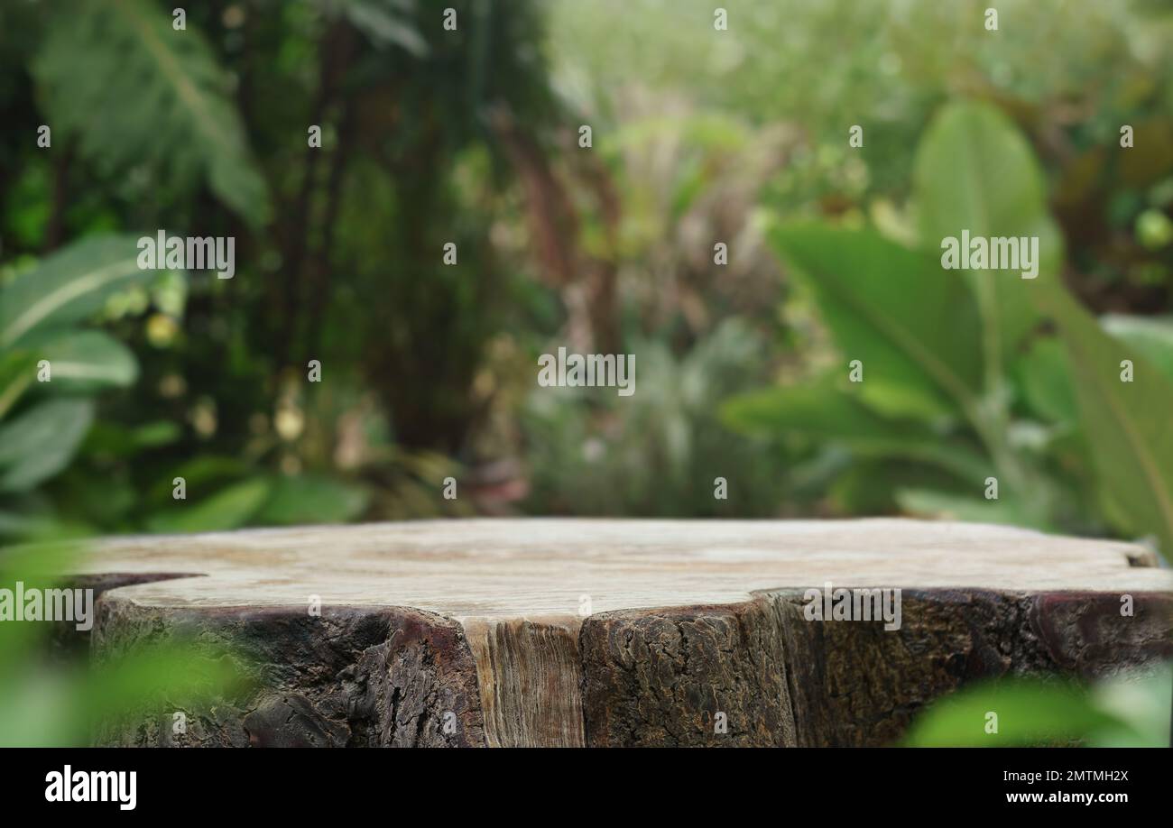 empty table top wooden counter podium in outdoor tropical garden forest ...