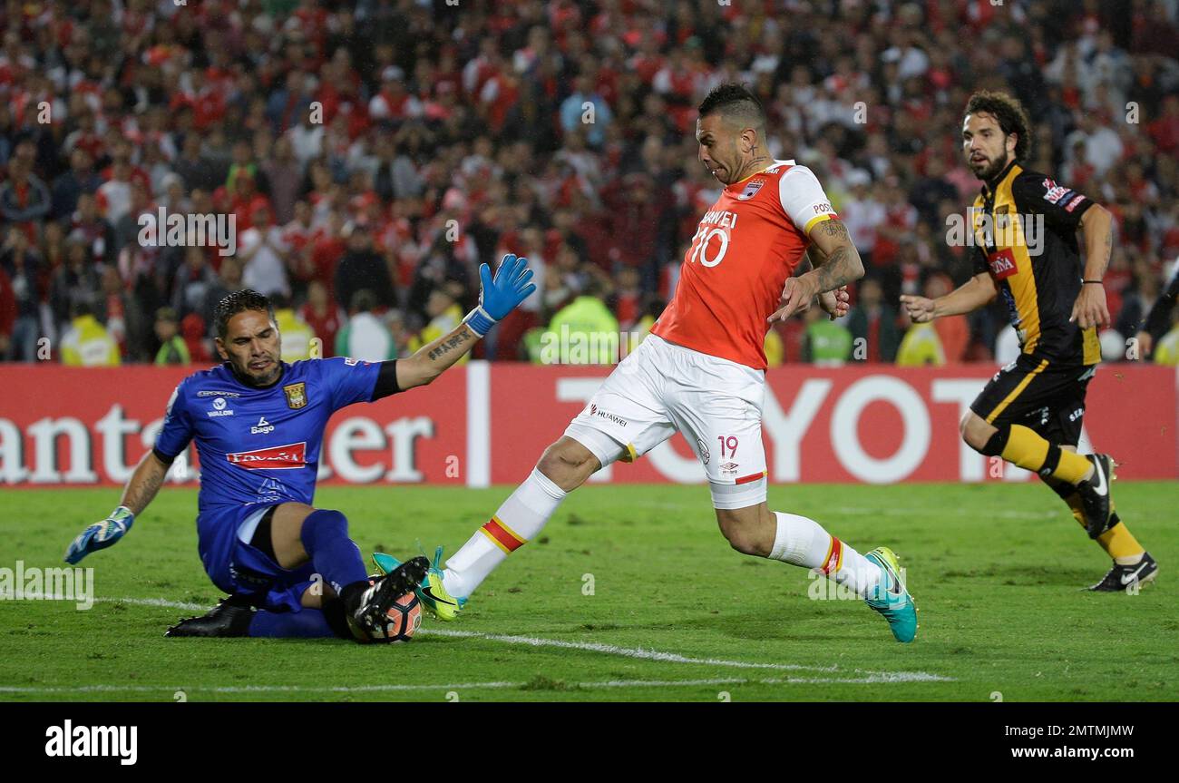 Daniel Vaca, goalkeeper of Bolivia's The Strongest, left, fights for ...