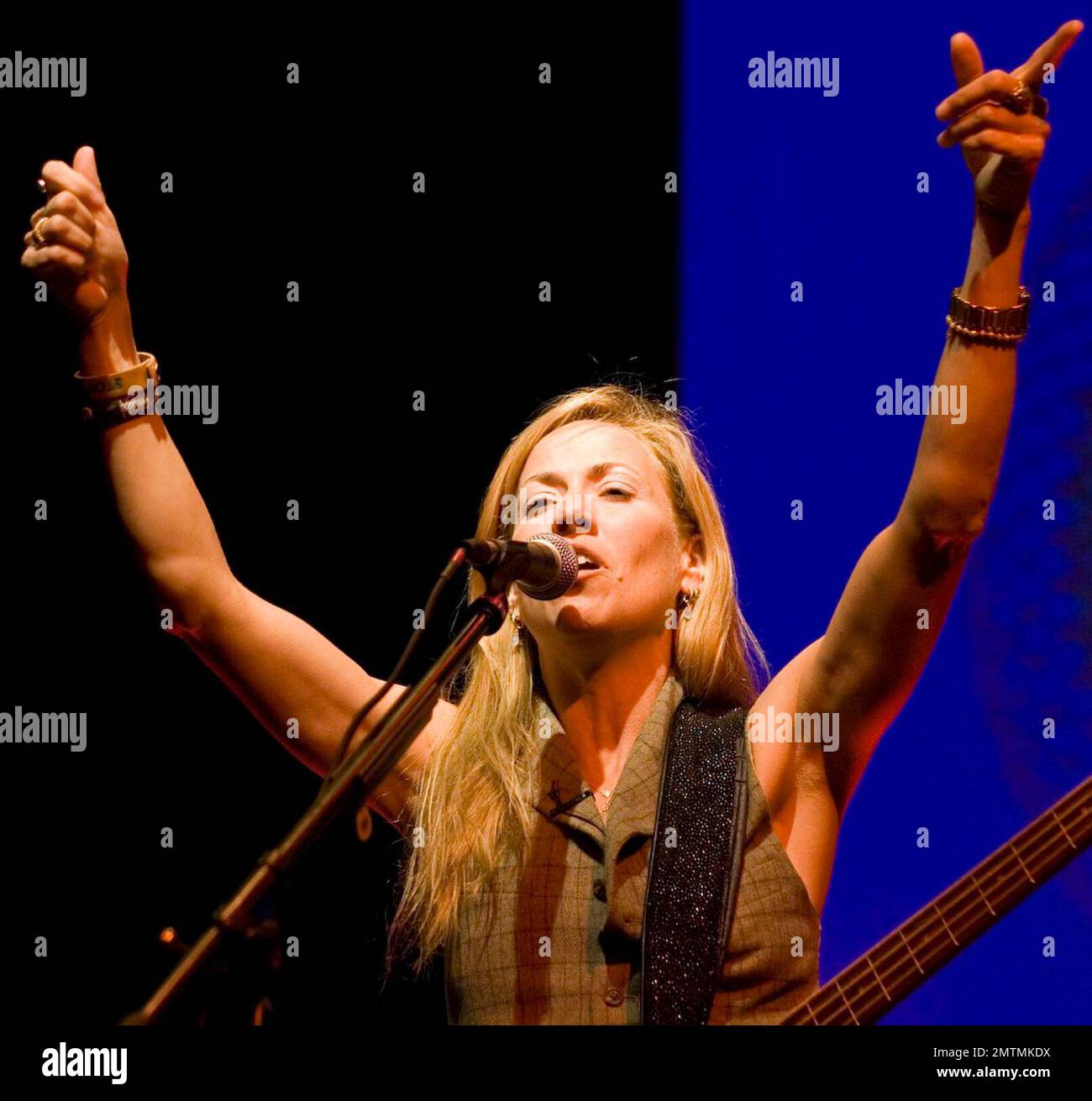 Singer Sheryl Crow performs onstage as part of the Stop Global Warming ...