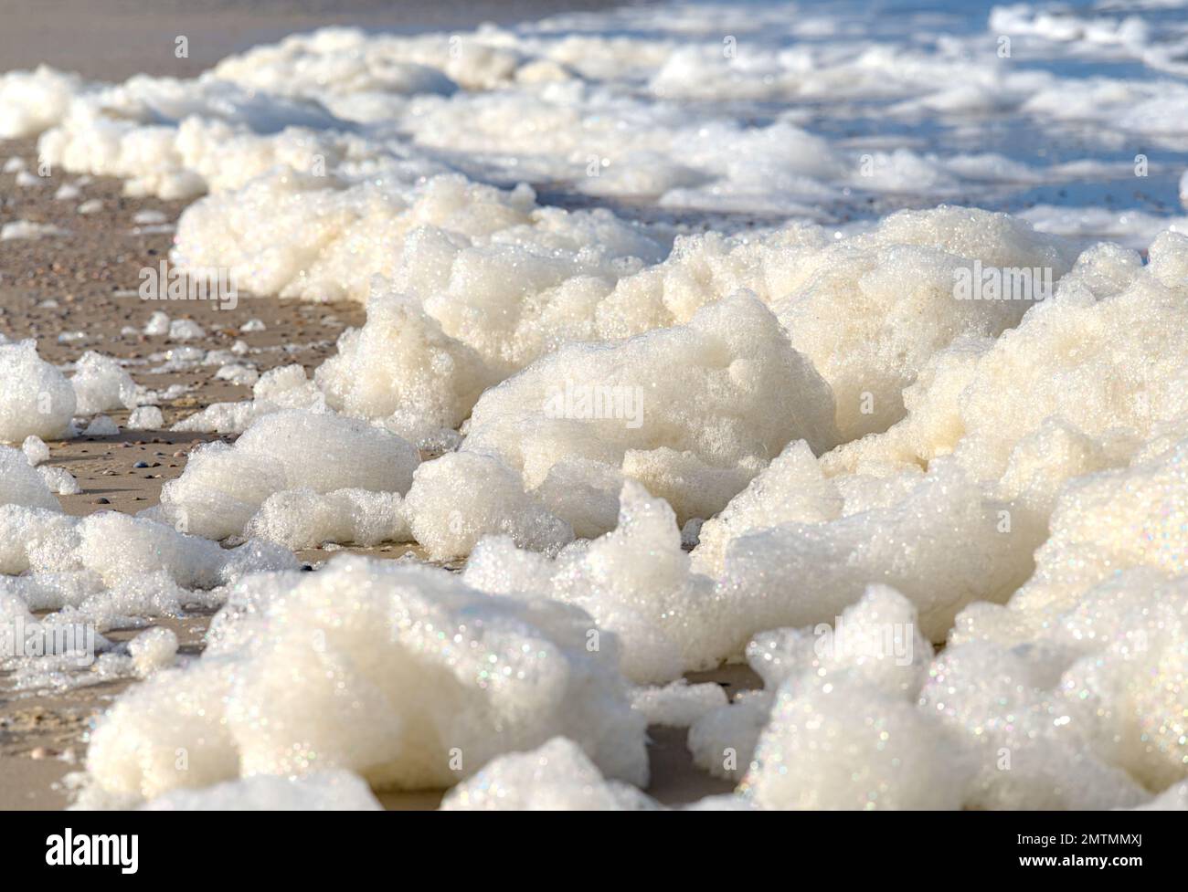 foam from some waves at the lonely beach Stock Photo - Alamy