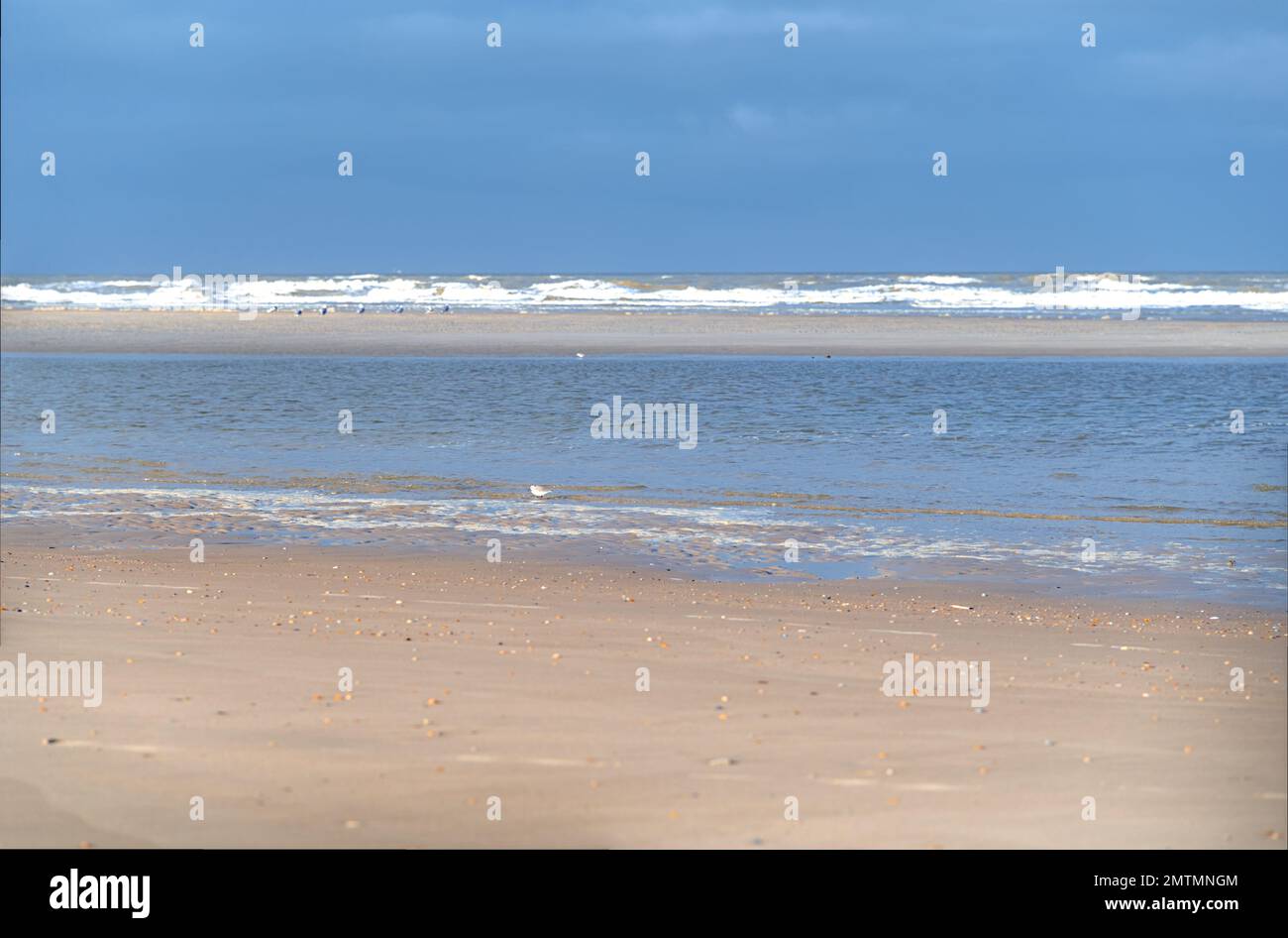 lonely beach at the northern sea Stock Photo - Alamy