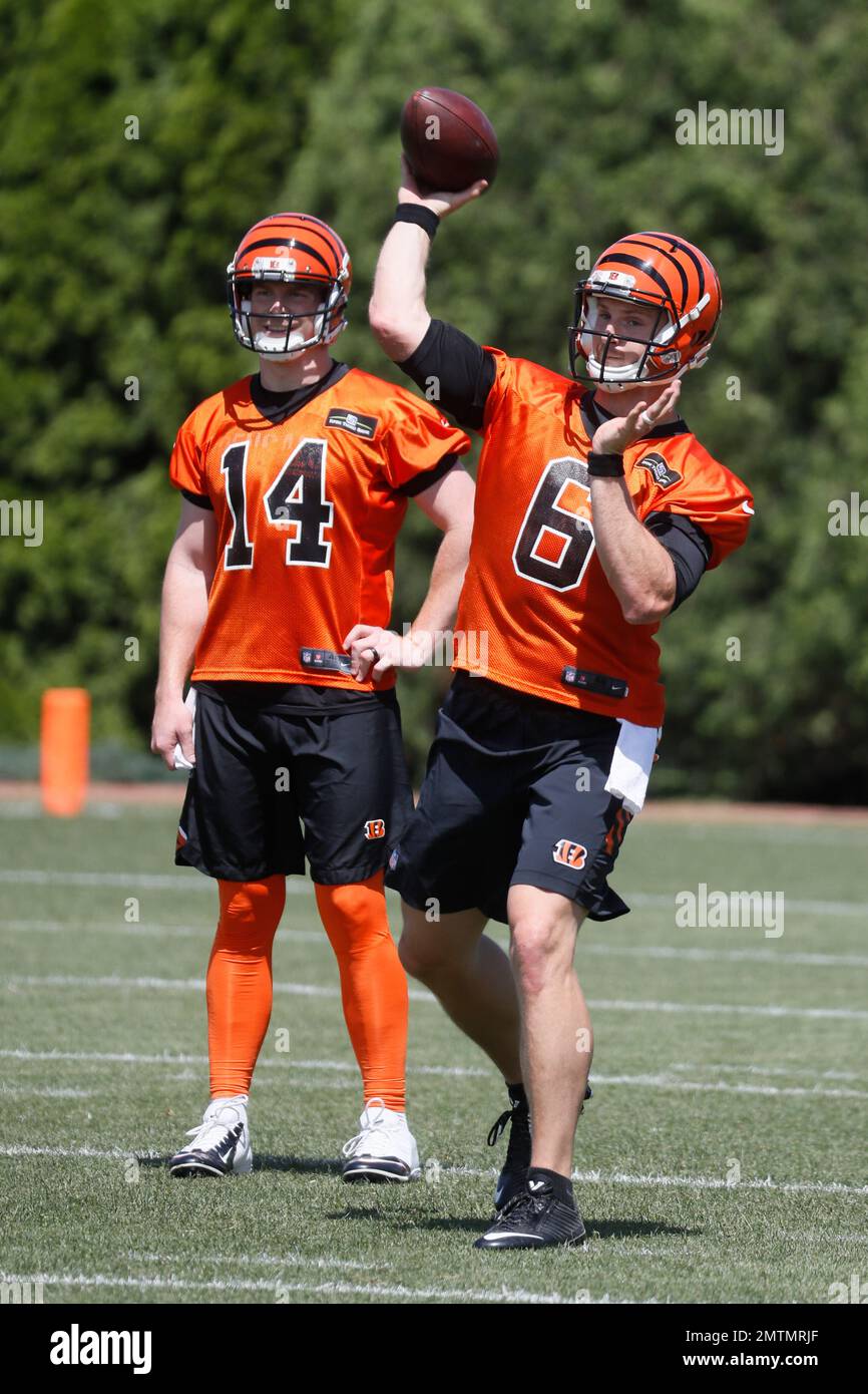 Cincinnati Bengals quarterback Jeff Driskel (6) practices alongside ...
