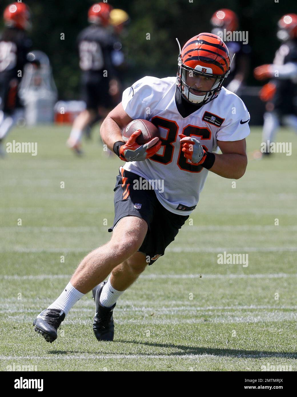 Cincinnati Bengals tight end Mason Schreck runs a drill during ...