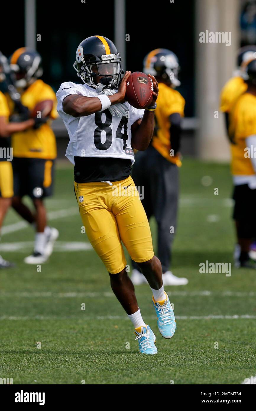 Pittsburgh Steelers wide receiver Antonio Brown (84) during an NFL ...